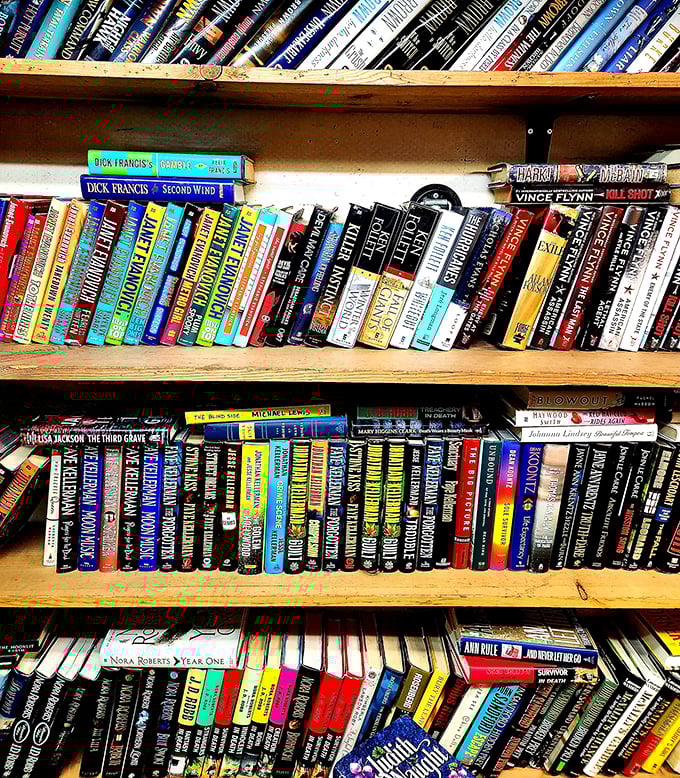 Literary gold mines await bibliophiles who aren't afraid to dig. That dog-eared paperback might just be the best $2 vacation you'll ever take.