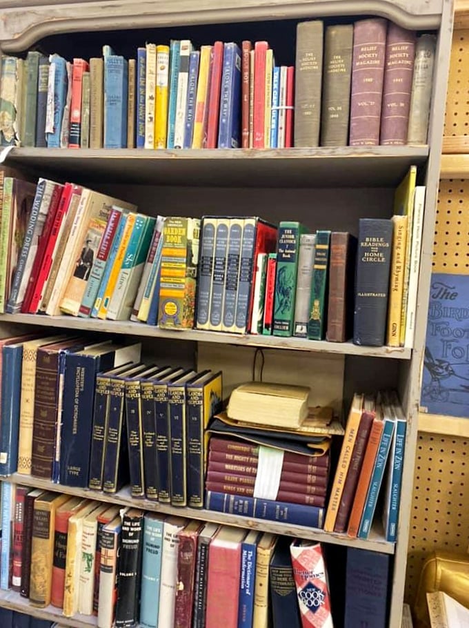 Literary treasures stacked with care, each spine telling two stories&mdash;one within its pages and another about its journey here.