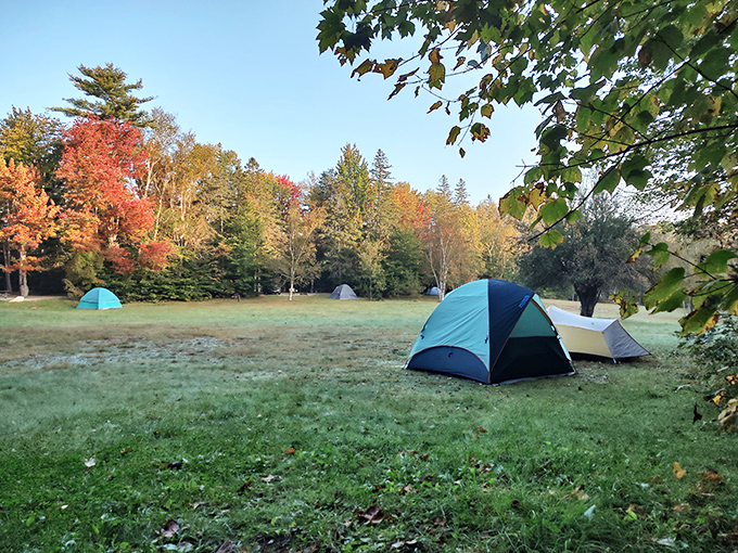 Fall camping perfection. Blue tents dot the meadow while autumn's paintbrush transforms the forest into a masterpiece worth sleeping outdoors for.