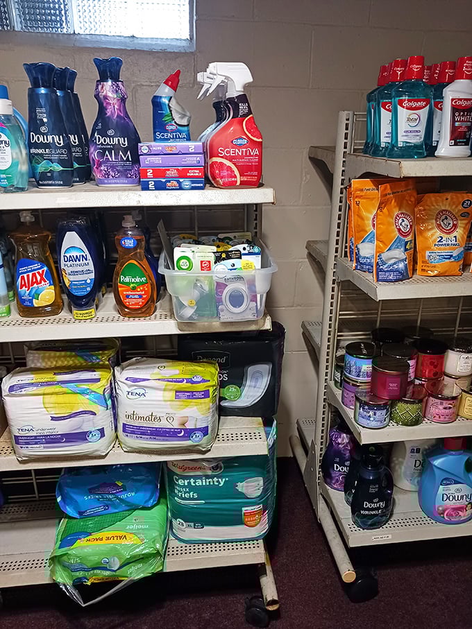 The discount cleaning aisle that would make your coupon-clipping aunt weep with joy. Brand names at bargain prices—household essentials without the retail markup.