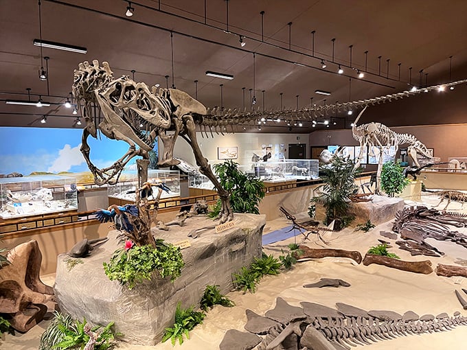 Prehistoric roommates! The Badlands Dinosaur Museum's T-Rex skeleton seems poised to tell you about its 65-million-year mortgage on this prime exhibition real estate.