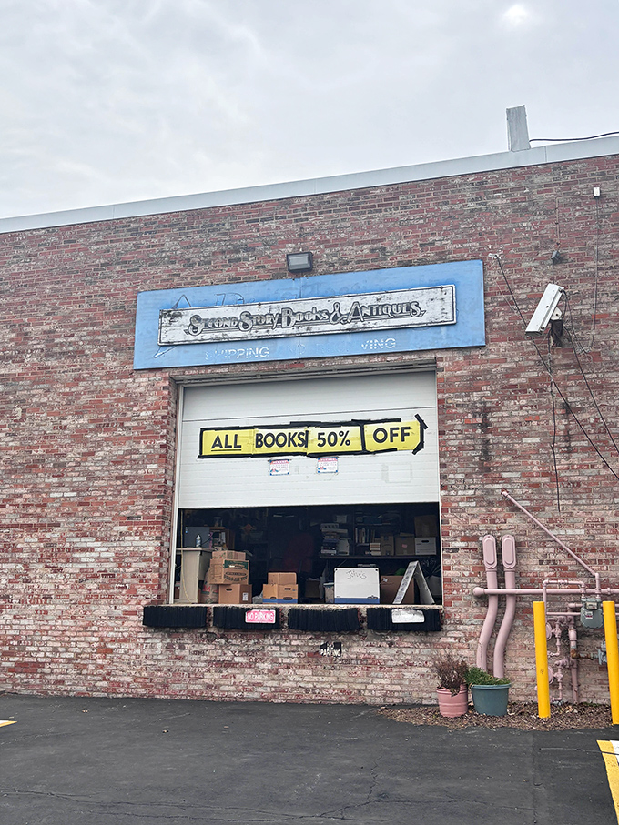 That "50% OFF ALL BOOKS" banner is basically a siren song for anyone who's ever said "just one more chapter."