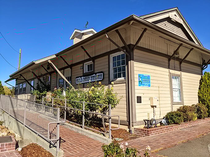 The Gold Rush Museum stands as a testament to the dreamers who came seeking fortune &ndash; turns out history doesn't need special effects to be fascinating.