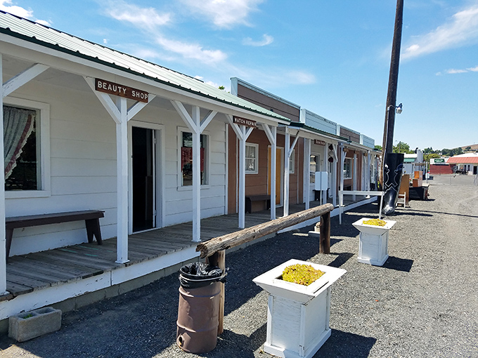 Step back in time at the Grant County Historical Museum, where Western Washington's rain is just a distant rumor and history comes with a side of sunshine.