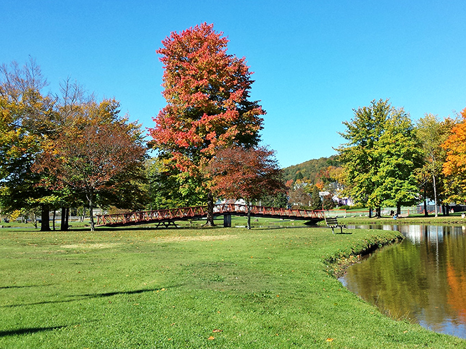 Hamlin Lake Park offers that perfect blend of serenity and recreation, where ducks glide across reflective waters while mountains stand guard in the distance. Nature's therapy session, Pennsylvania-style.
