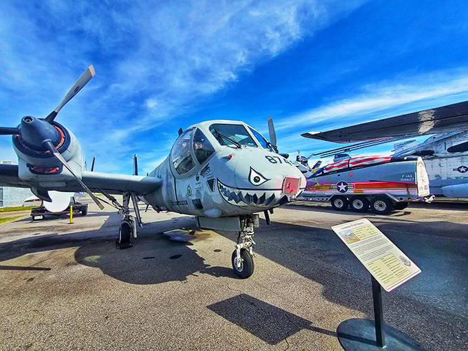 This shark-faced warbird at the Hickory Aviation Museum isn't just photogenic&mdash;it's a time machine to America's aerial heritage.