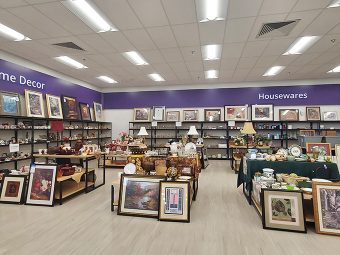 Home decor heaven where yesterday's treasures become tomorrow's conversation pieces. That lamp might have illuminated someone's great American novel!