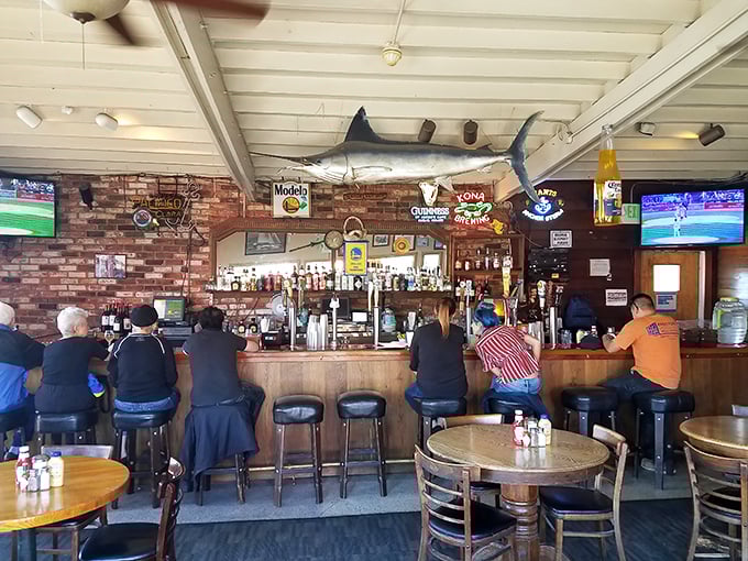 Where marlin meets martinis! The mounted fish presides over a classic bar where locals gather to watch games, share stories, and escape the tourist crowds.