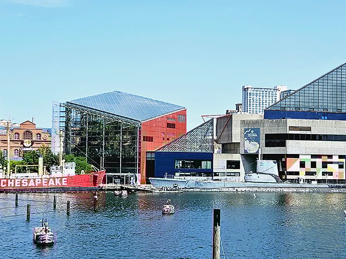 The National Aquarium isn't your grandma's fish tank. This architectural marvel houses underwater worlds that'll make you forget you're paying reasonable admission prices.