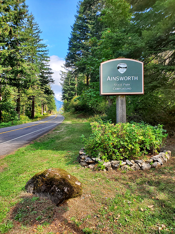 The gateway to adventure doesn't need flashing lights&mdash;just towering evergreens and the promise of trails waiting to be discovered.
