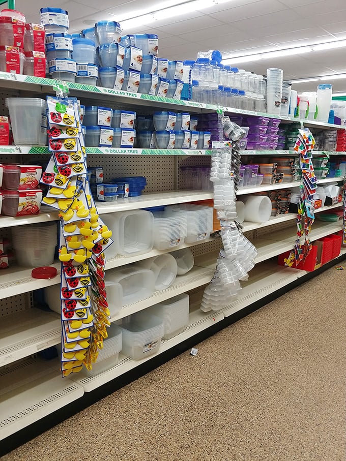 Plastic container heaven! Marie Kondo would hyperventilate at this organizational wonderland where storage dreams come true for pocket change.