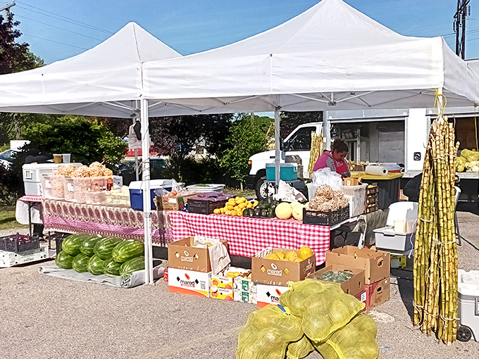Nature's bounty meets bargain hunting &ndash; fresh watermelons, sugar cane, and produce that didn't have to travel through three time zones to reach your table.