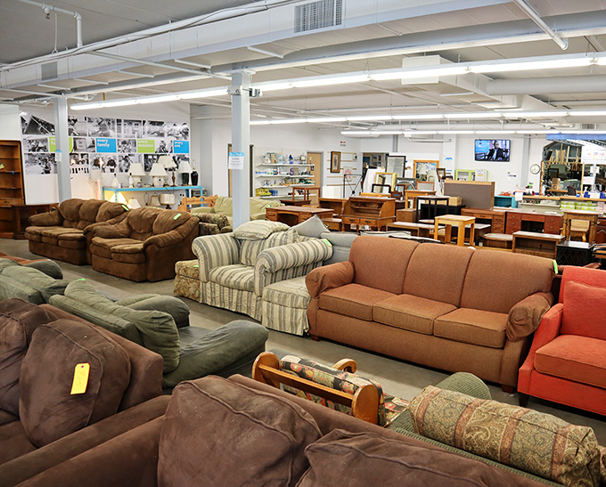 Sofa safari at its finest! From cozy brown sectionals to cheerful striped loveseats, your perfect Netflix binge companion awaits.