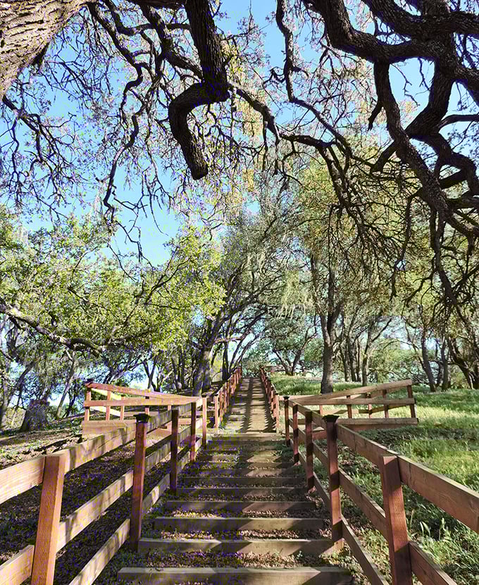 These wooden steps wind through ancient oaks like a stairway to serenity, minus the Led Zeppelin soundtrack.