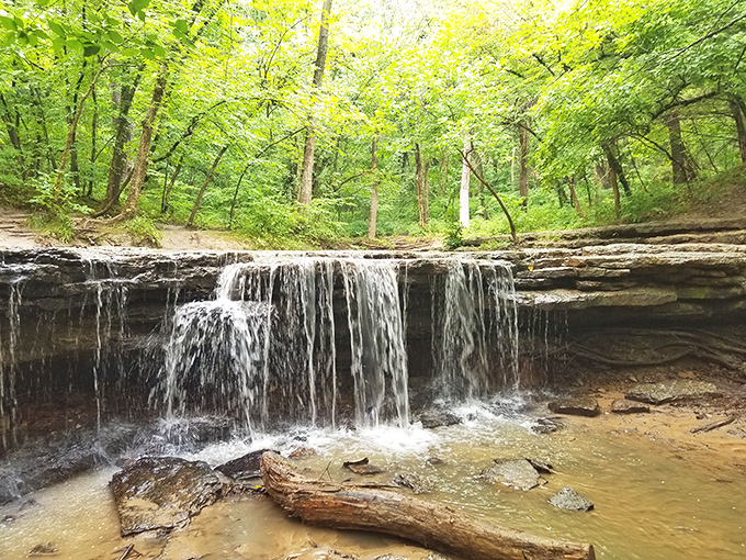 Mother Nature's spa treatment - Stone Creek Falls cascades over ancient limestone with hypnotic rhythm. The soundtrack alone is worth the hike.