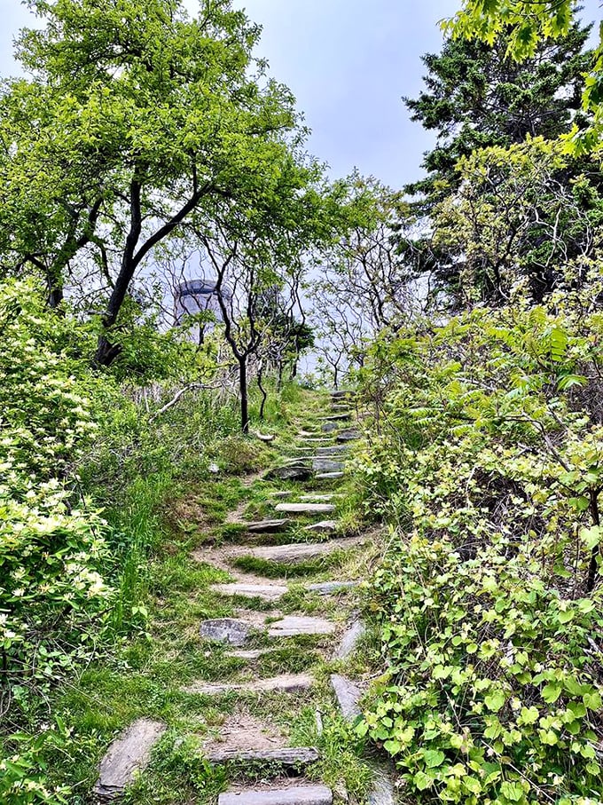 Stairway to heaven? Close enough. These stone steps through vibrant greenery lead to dramatic ocean views that make the climb worth every step.