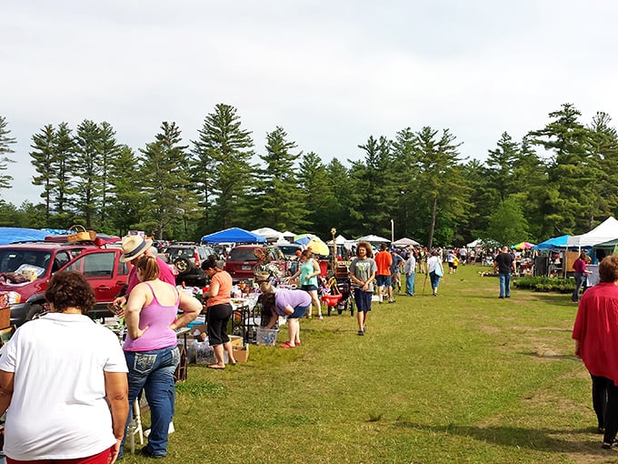 Sunday morning shoppers stroll between vendor tents, where the thrill of discovery awaits around every corner.