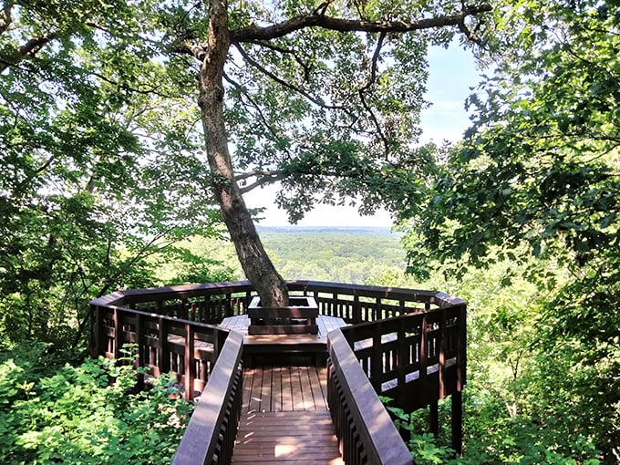 Nature's balcony at Weston Bend State Park offers a breathtaking Missouri River Valley panorama that makes you forget you're just 30 minutes from Kansas City.