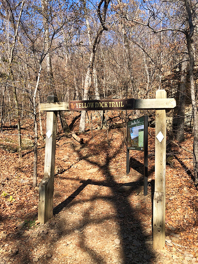 The Yellow Rock Trail entrance beckons like the wardrobe to Narnia. Those wooden posts aren't just trail markers&mdash;they're portals to adventure in the Ozark wilderness.