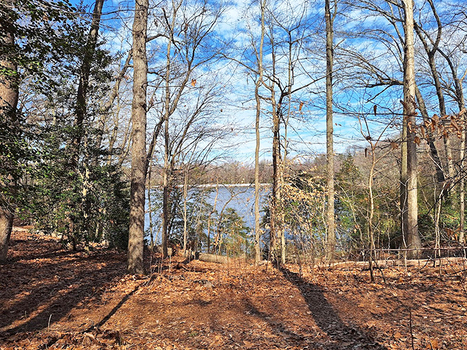 These campsites prove that "roughing it" doesn't mean sacrificing a decent view or your sanity during family vacation season.