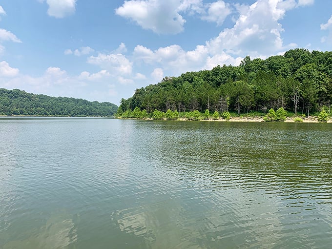 Mirror, mirror on the lake—who's the fairest view of all? Taylorsville's glassy waters reflect Kentucky's rolling hills in perfect symmetry.