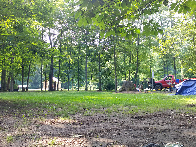 Camping nirvana: where morning coffee comes with a side of birdsong and trees tall enough to make skyscrapers feel inadequate.