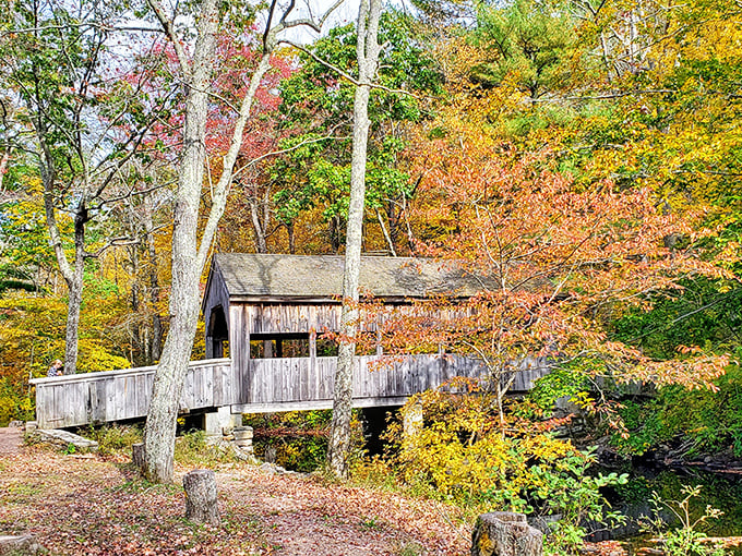 Fall foliage frames this weathered wooden bridge like Mother Nature's Instagram filter. Crossing it feels like walking through a living painting.
