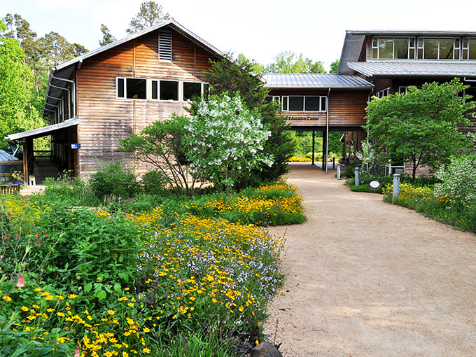 Sustainable architecture meets botanical paradise. This wooden education center proves you don't need concrete jungles to create impressive buildings.