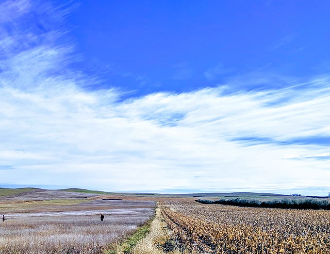 The vast South Dakota landscape surrounding Winner offers that rarest of modern luxuries: breathing room. Miles of horizon where your thoughts can stretch their legs.