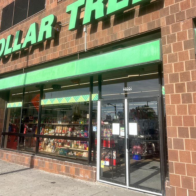 Through those glass doors awaits a retail adventure that'll consume your afternoon faster than you can say "everything's a dollar."