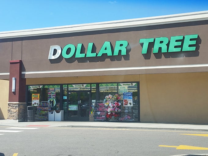 Like a budget-friendly beacon in the retail wilderness, the Dollar Tree's gleaming signage invites bargain hunters to discover what a Washington can still buy.