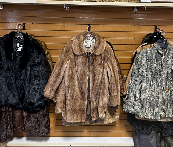 Inside, a lineup of vintage fur coats stands at attention like glamorous sentinels from another era. Each one whispering tales of fancy galas past.