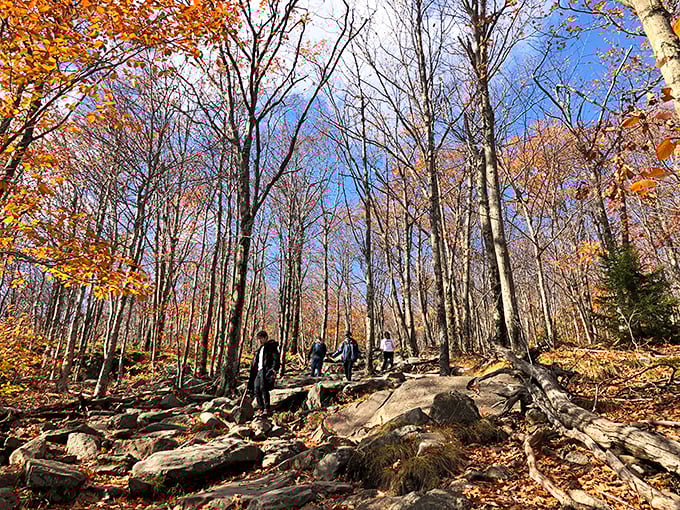 Autumn's fashion show on full display as hikers navigate the rocky path. Mother Nature's obstacle course comes with a spectacular wardrobe.