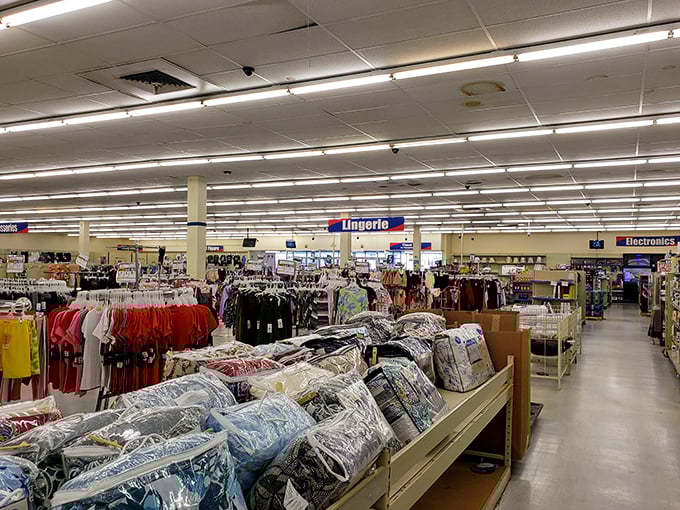 A shopper's paradise unfolds under fluorescent lights, where bedding, lingerie, and electronics coexist in a democratic display of discount diversity.