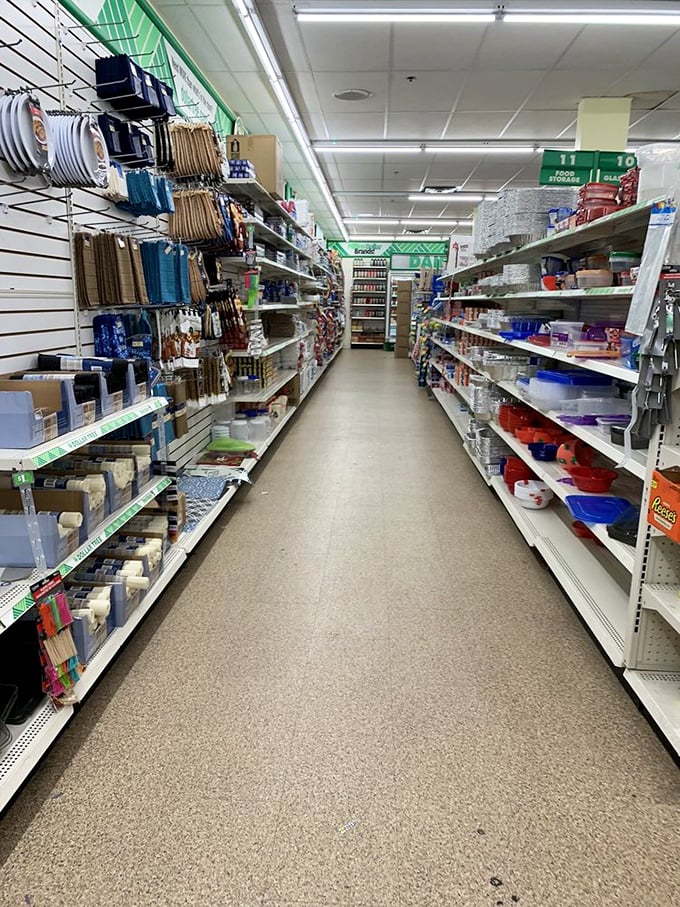 Aisles stretch into infinity, promising treasure hunts where every discovery costs less than your morning coffee tip.