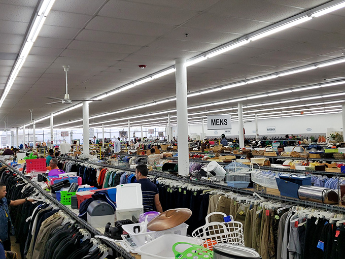 Rows of merchandise stretch toward the horizon like a retail version of the yellow brick road, minus the flying monkeys.