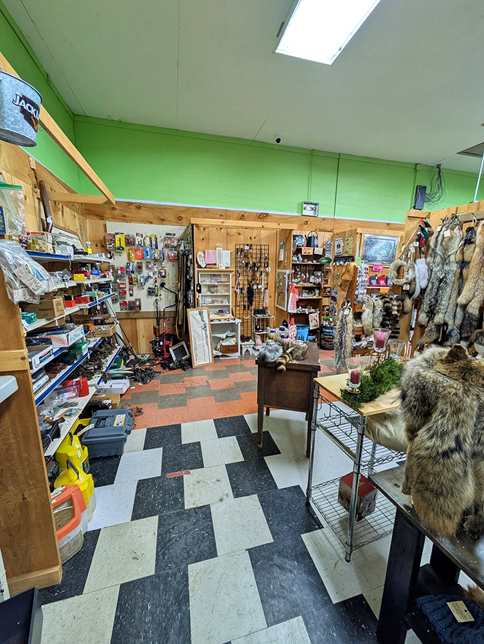 The checkerboard floor leads you through a wonderland of treasures. Like Alice falling down the rabbit hole, each turn reveals new curiosities.