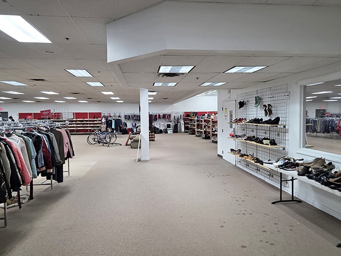 Racks upon racks of possibility stretch toward the horizon. This isn't shopping; it's an expedition with a shopping cart.