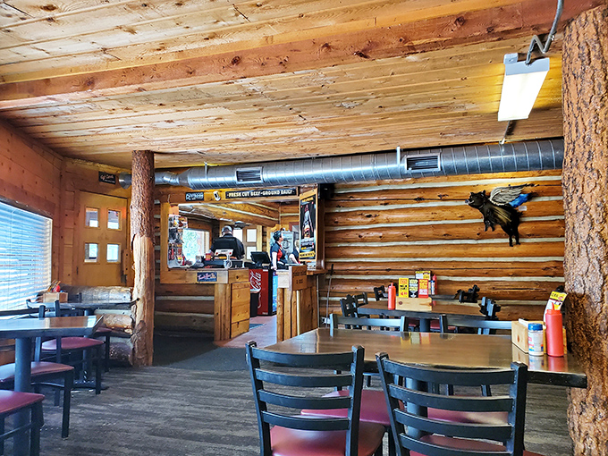 Inside, the warm wooden interior feels like dining in a cozy mountain retreat, except the wildlife you'll encounter comes between two buns.