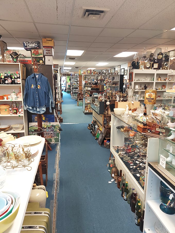 Blue-carpeted aisles stretch like rivers through mountains of memorabilia, each turn revealing new valleys of vintage delights waiting to be discovered.
