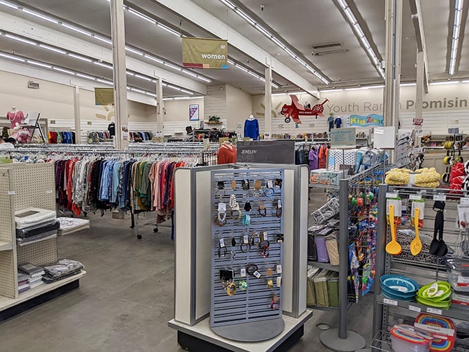 Inside, a treasure hunter's paradise unfolds with neatly organized sections that make the thrill of the hunt all the more satisfying.