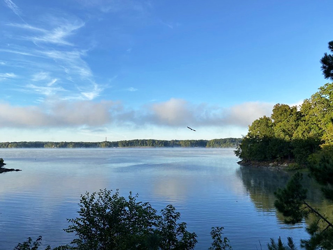 Morning mist dancing across Buggs Island Lake creates a scene so peaceful it should come with a warning: "May cause spontaneous sighs of contentment."
