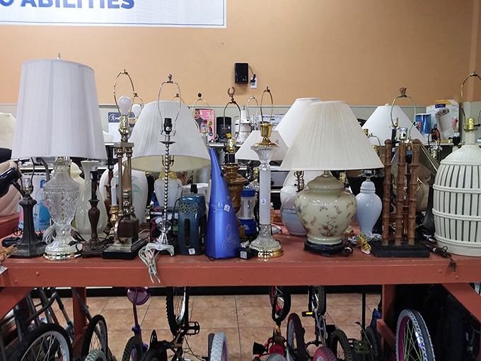 A forest of forgotten illumination awaits new homes. One person's "that doesn't match our decor anymore" becomes your perfect reading nook companion.