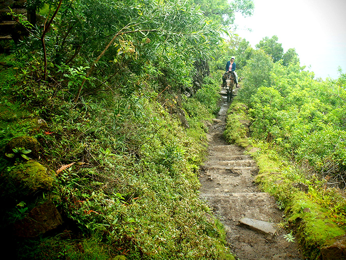 The original "off-road experience" &ndash; a rider navigates the historic trail to Kalaupapa, where switchbacks offer both thrills and contemplation.