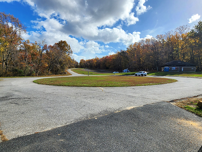 Fall's paintbrush transforms Elk Neck into nature's gallery. The autumn colors create a masterpiece that would make Bob Ross reach for his palette.