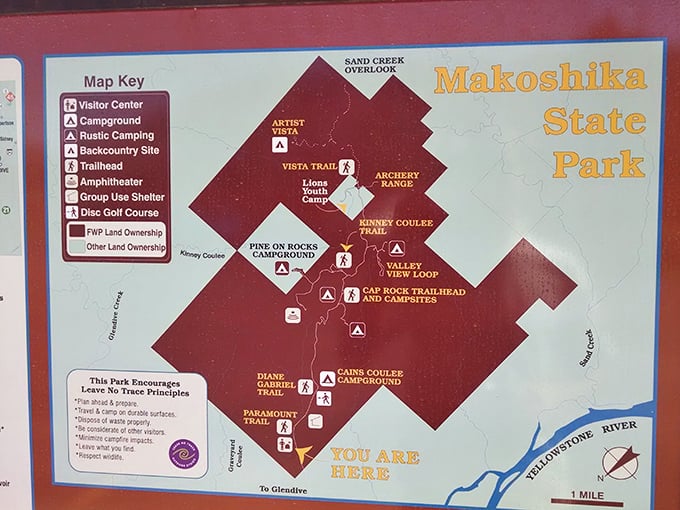 Adventure mapped out and ready for discovery! The park's trail system offers everything from leisurely strolls to challenging hikes through prehistoric terrain.