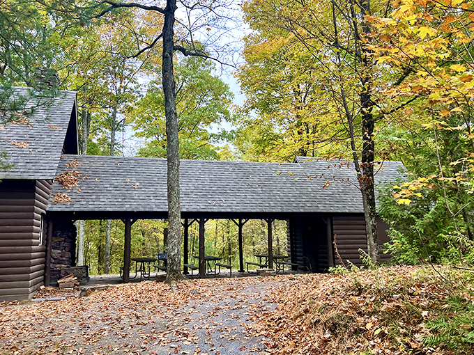 This rustic pavilion isn't just shelter&mdash;it's where memories are made. Fall foliage provides a golden backdrop for picnic tales.