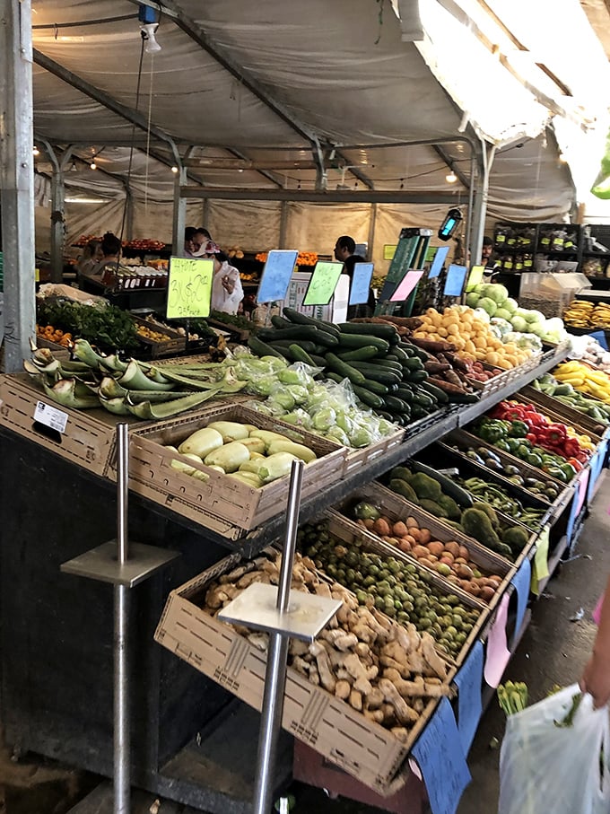 Nature's bounty on full display&mdash;vibrant vegetables arranged in perfect rows, fresher than anything at your supermarket.