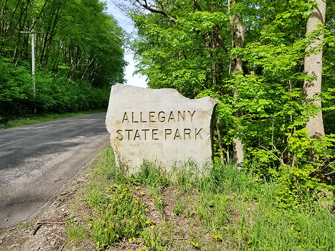 The entrance that promises adventure. Like finding the wardrobe to Narnia, this unassuming stone marker is your gateway to 65,000 acres of natural therapy.
