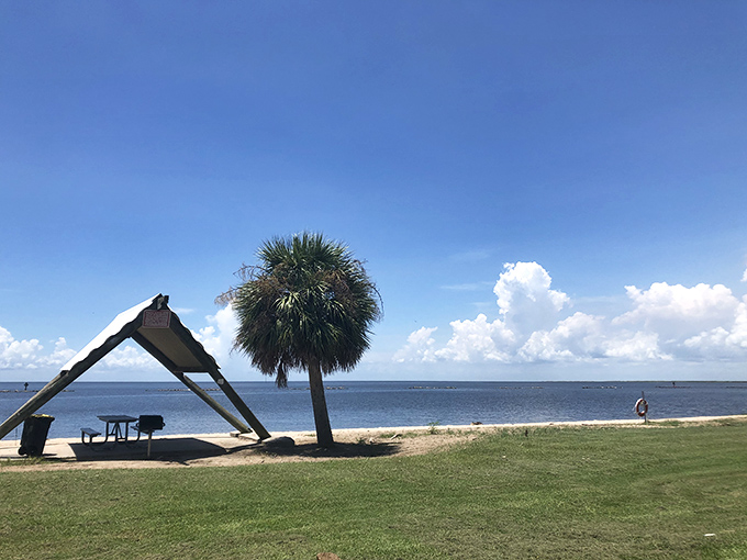 Not all beach shelters are created equal. This one's like the Cadillac of shade spots, offering front-row seats to nature's greatest show.